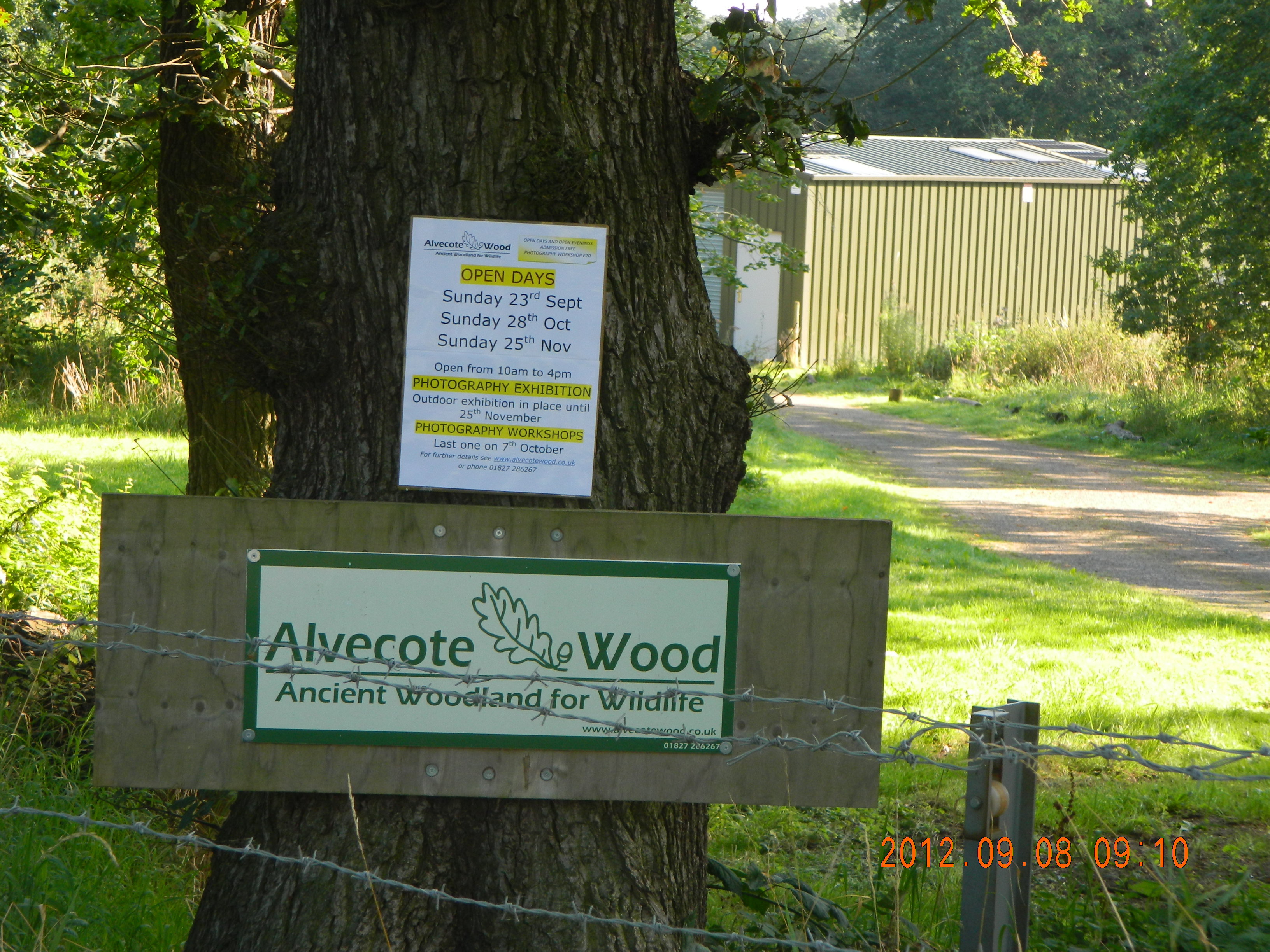 Alvecote Wood