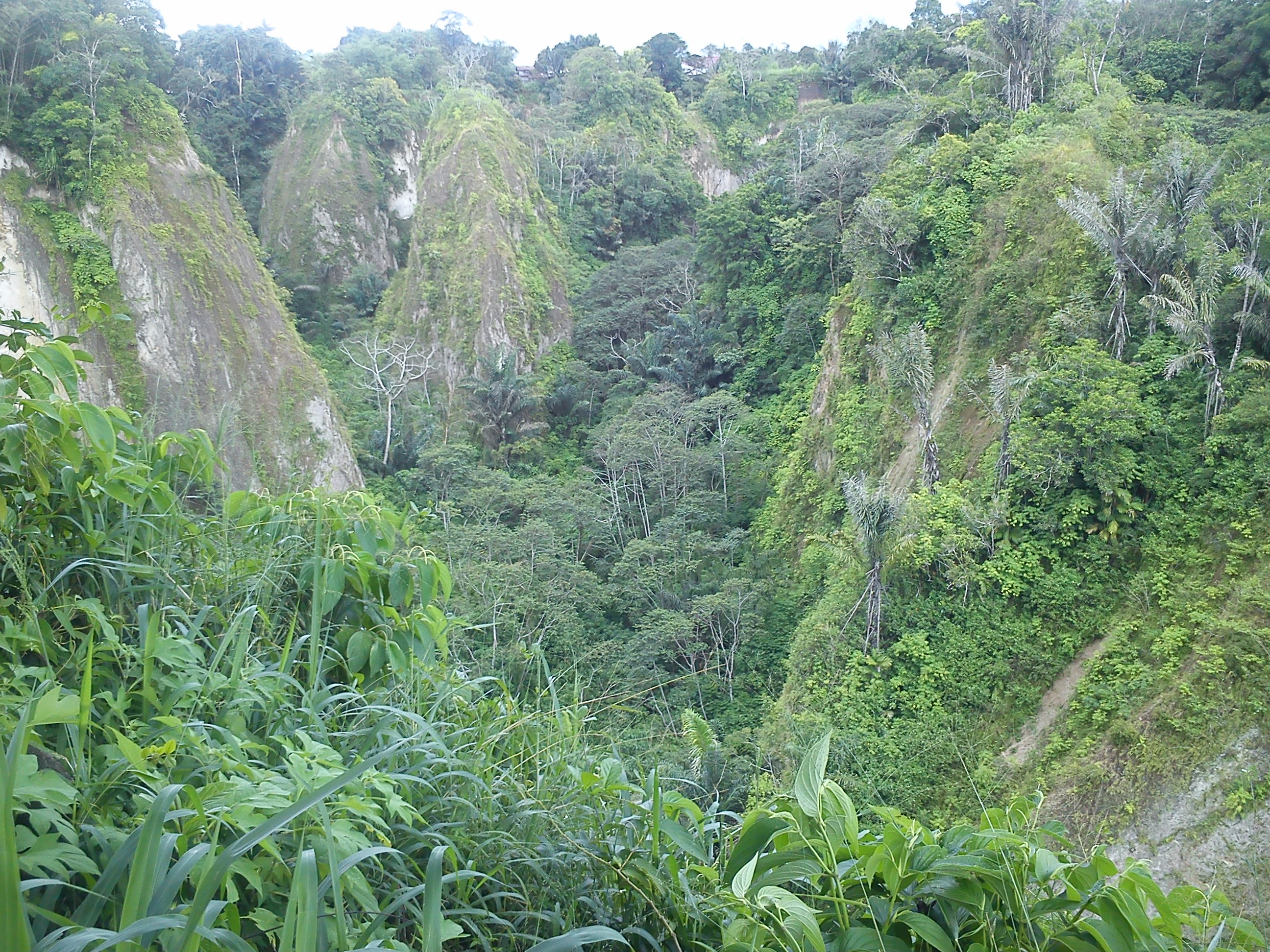 Ngarai Sianok - Pusat Kota Bukik Tinggi | taman, canyon / gorge (en)