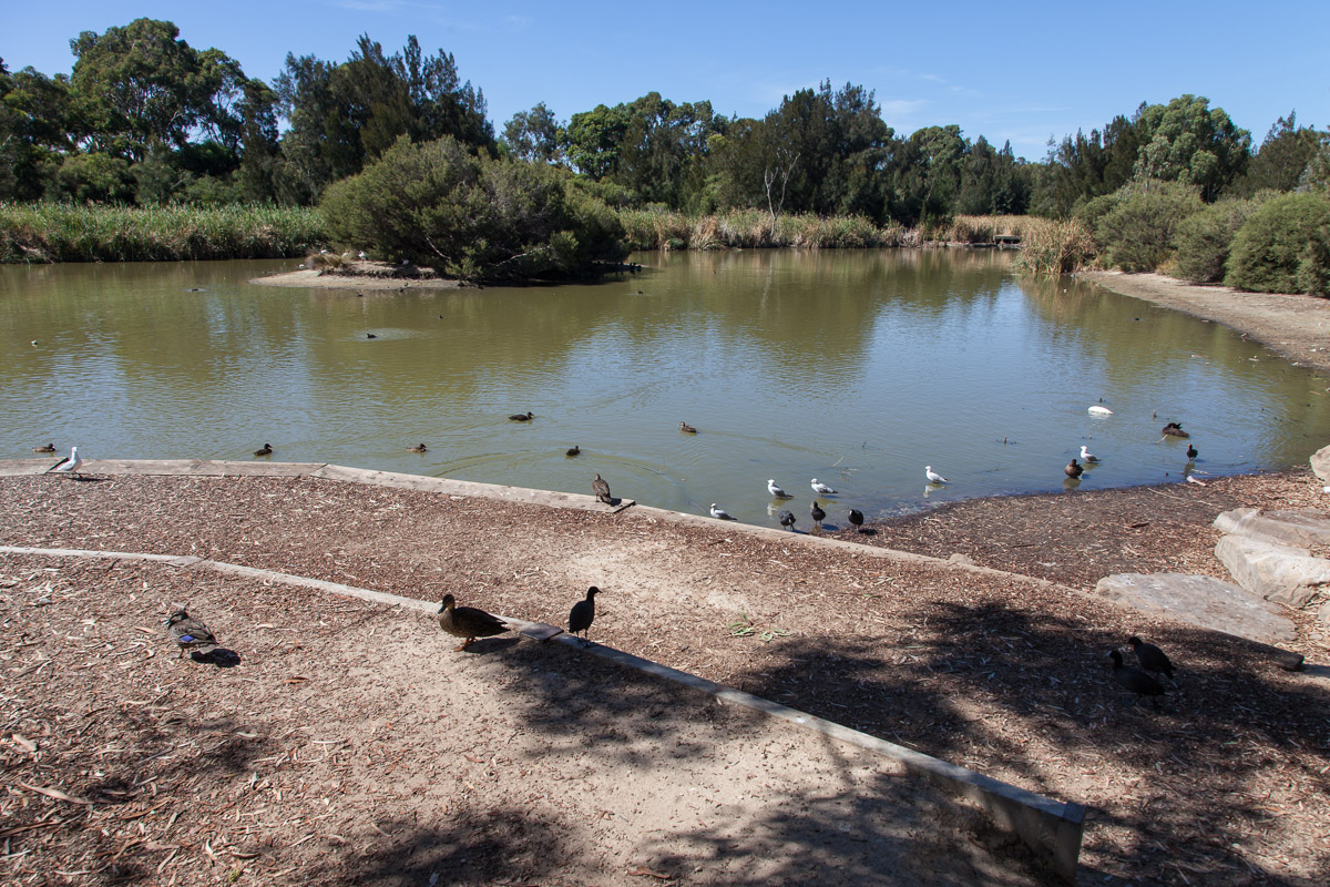 Apex Park - Adelaide, SA