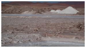 Salar Pastos Grandes | lago