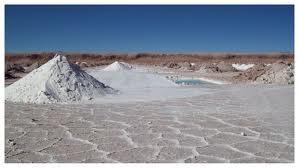Salar Pastos Grandes | lago