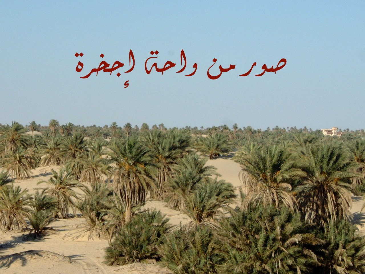 wintershall GOSP ( Jakhira )