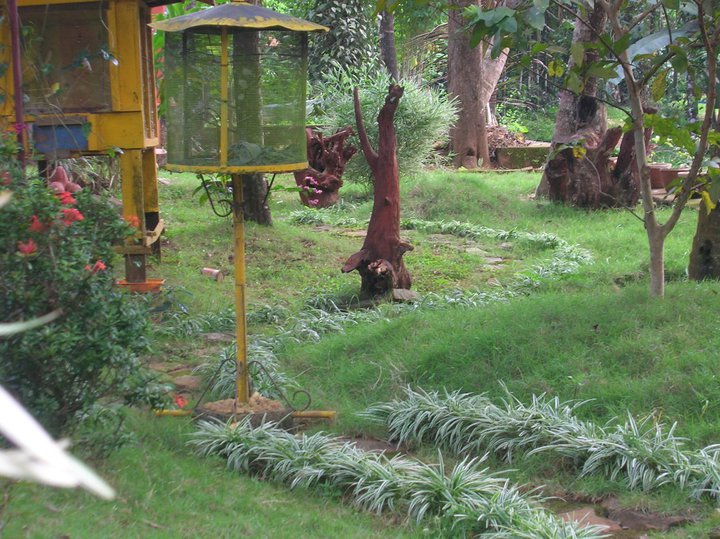 Vincent Mathew. Thotteyil House - Chittar