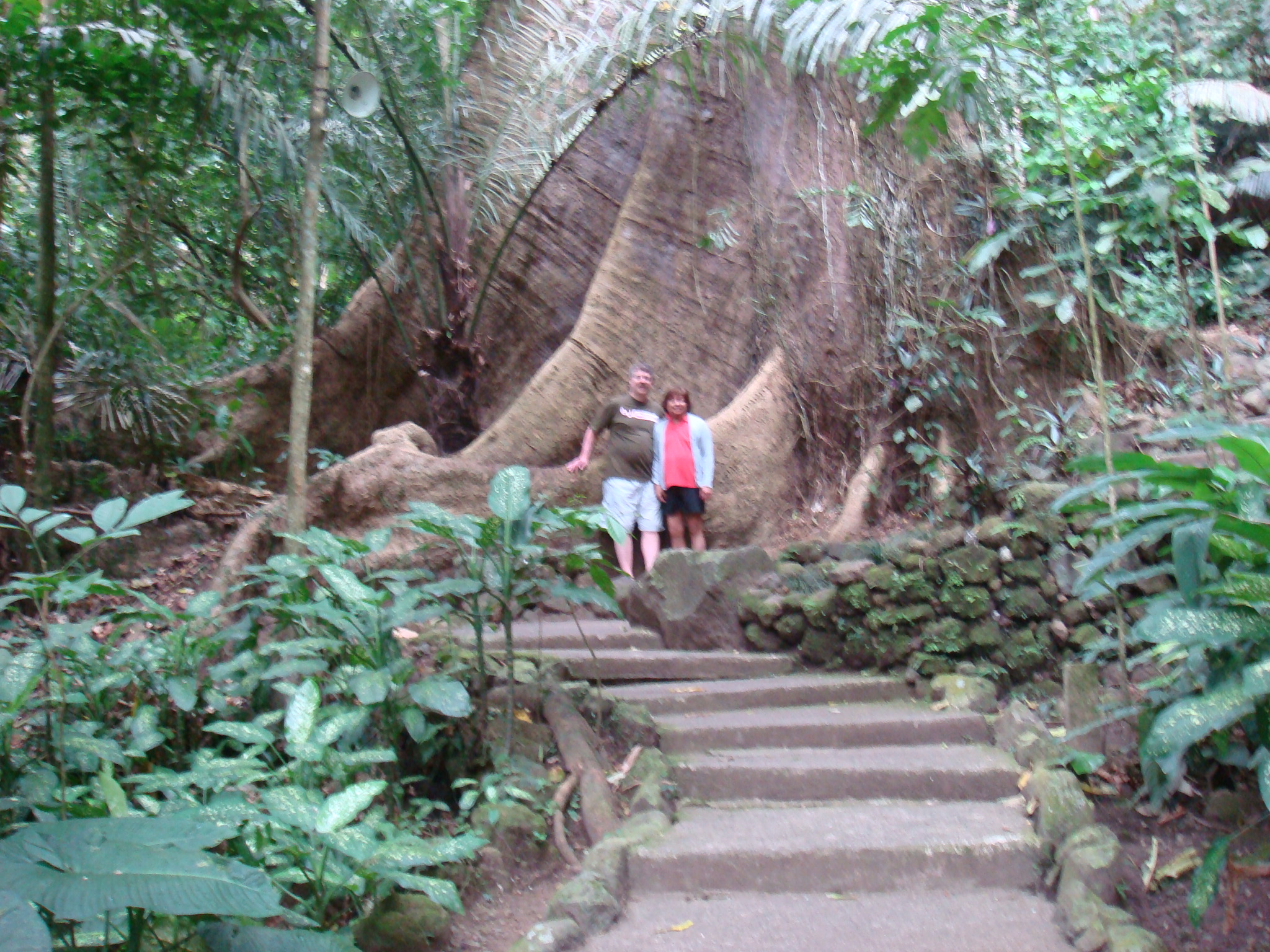 Hidden Valley Springs Resort - Calauan