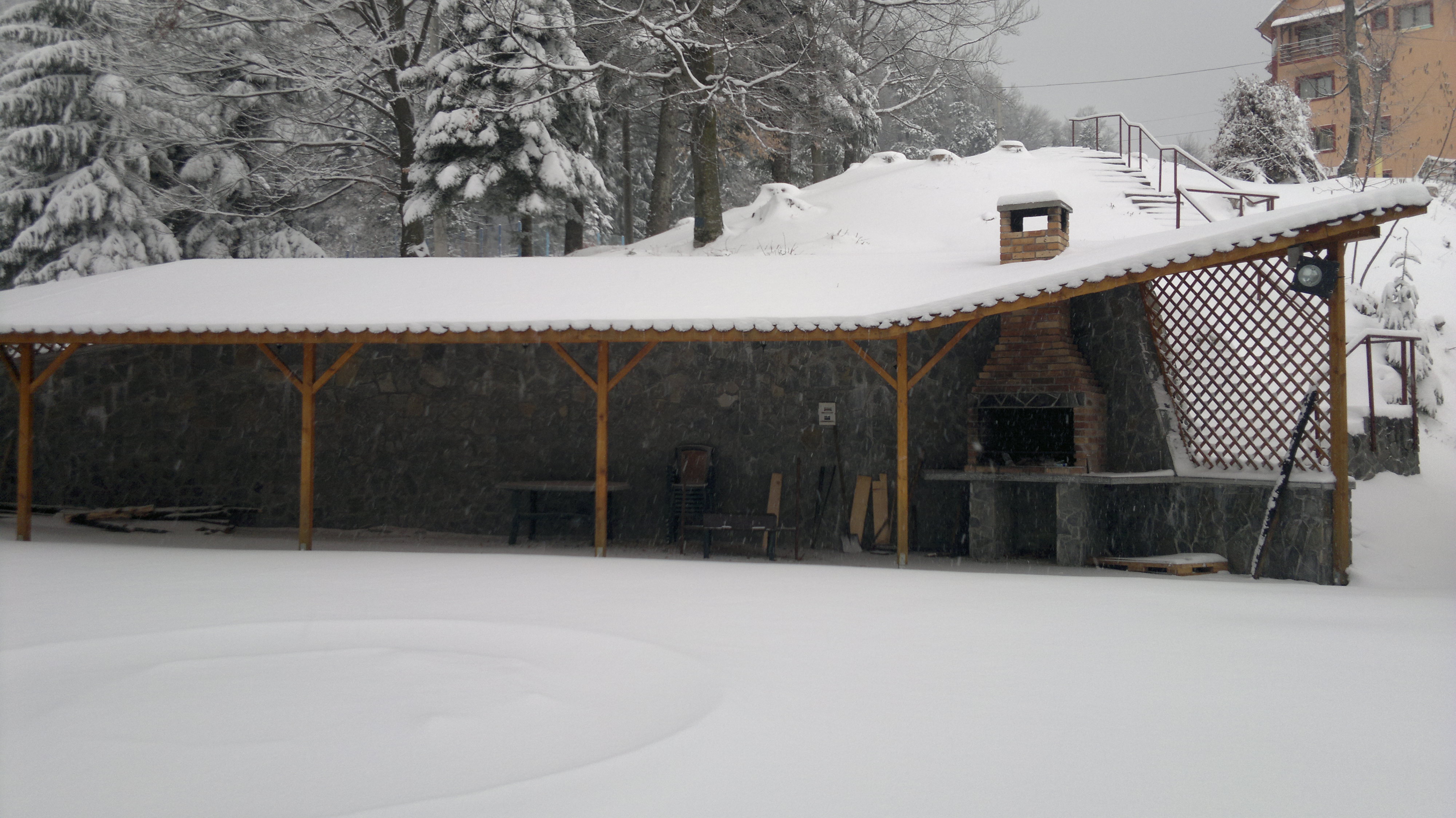 Foisor - Paraul Rece