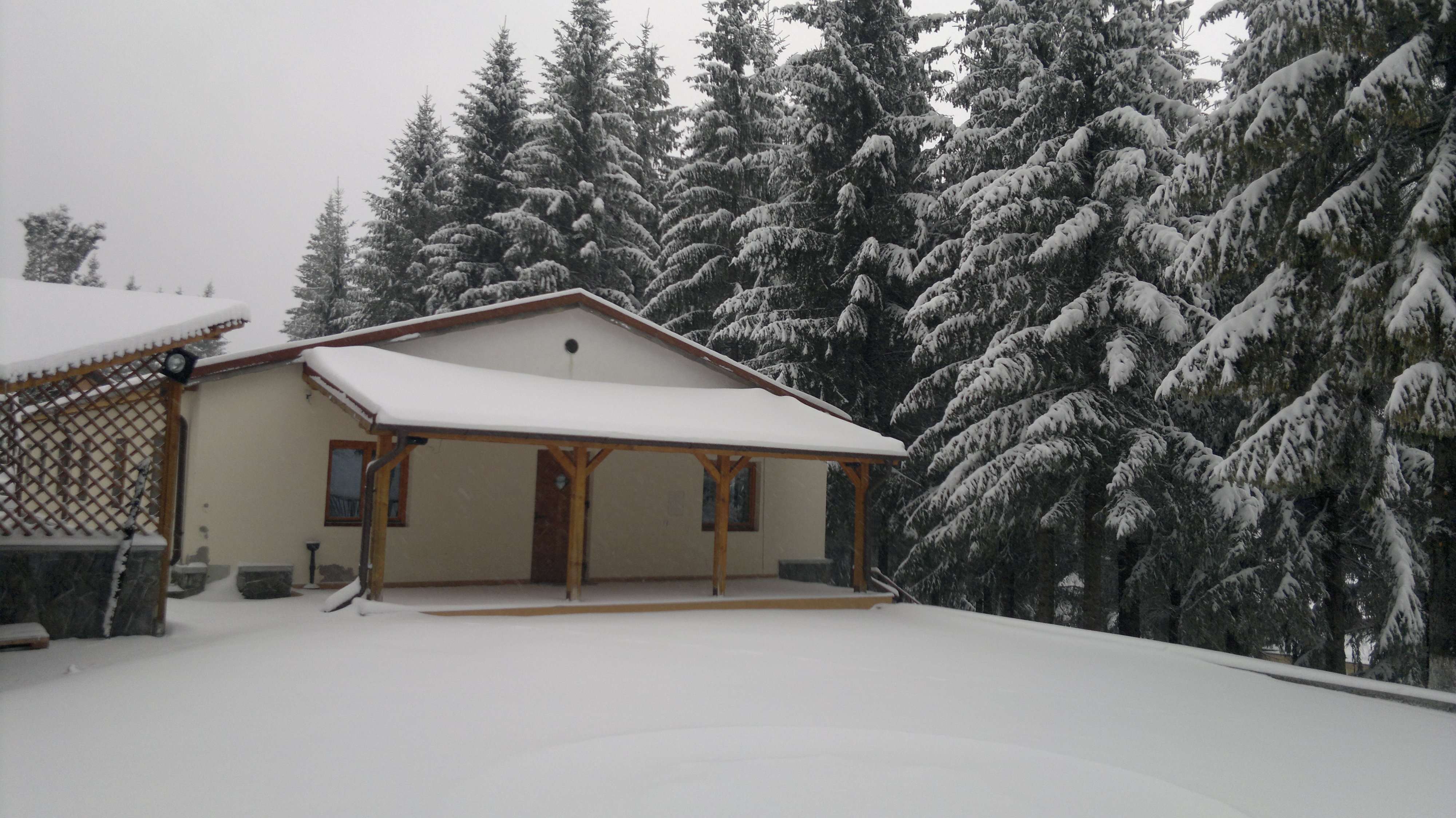 Foisor - Paraul Rece