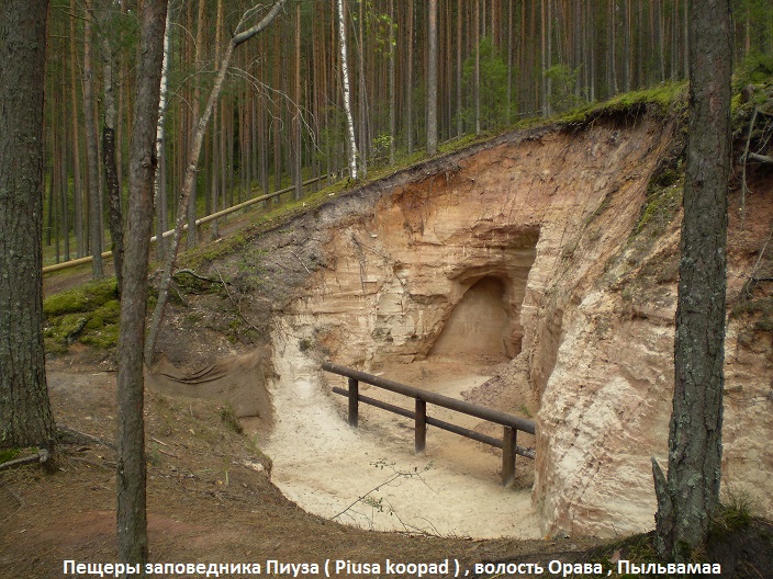 Пещеры заповедника Пиуза ( Piusa koopad )
