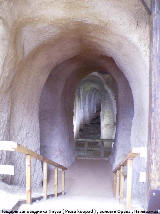 Пещеры заповедника Пиуза ( Piusa koopad )