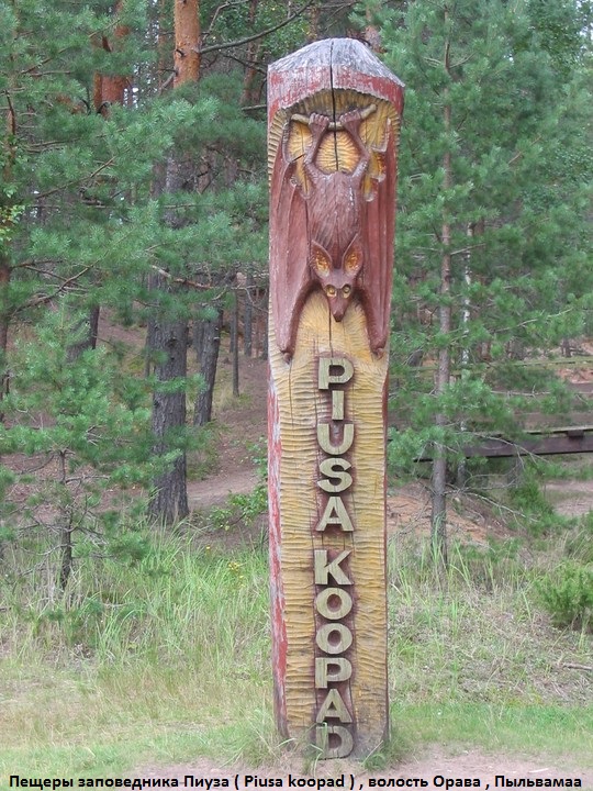 Пещеры заповедника Пиуза ( Piusa koopad )