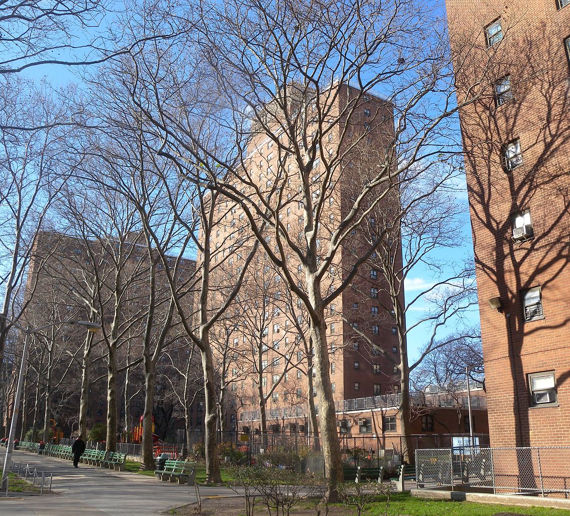 NYCHA Rutgers Houses
