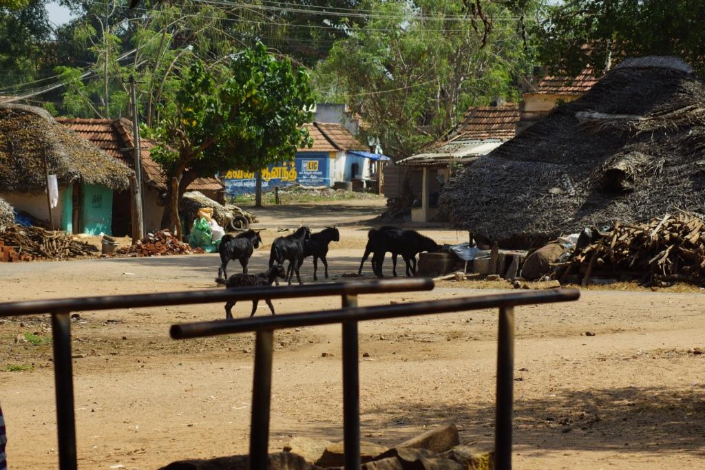 Muraiyur