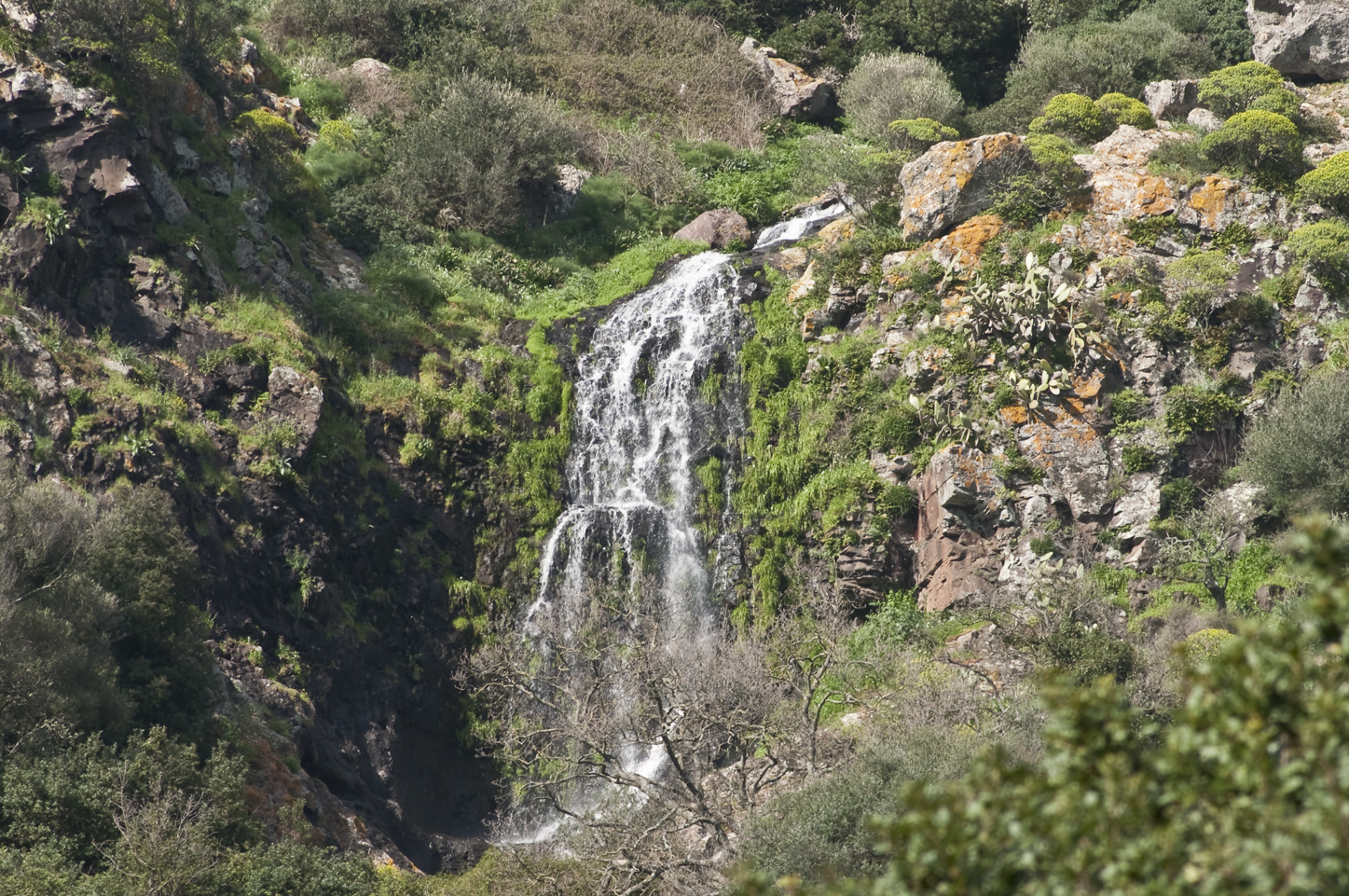 Cachoeira de S'Istrampu e su Riu 'e Su Dottore