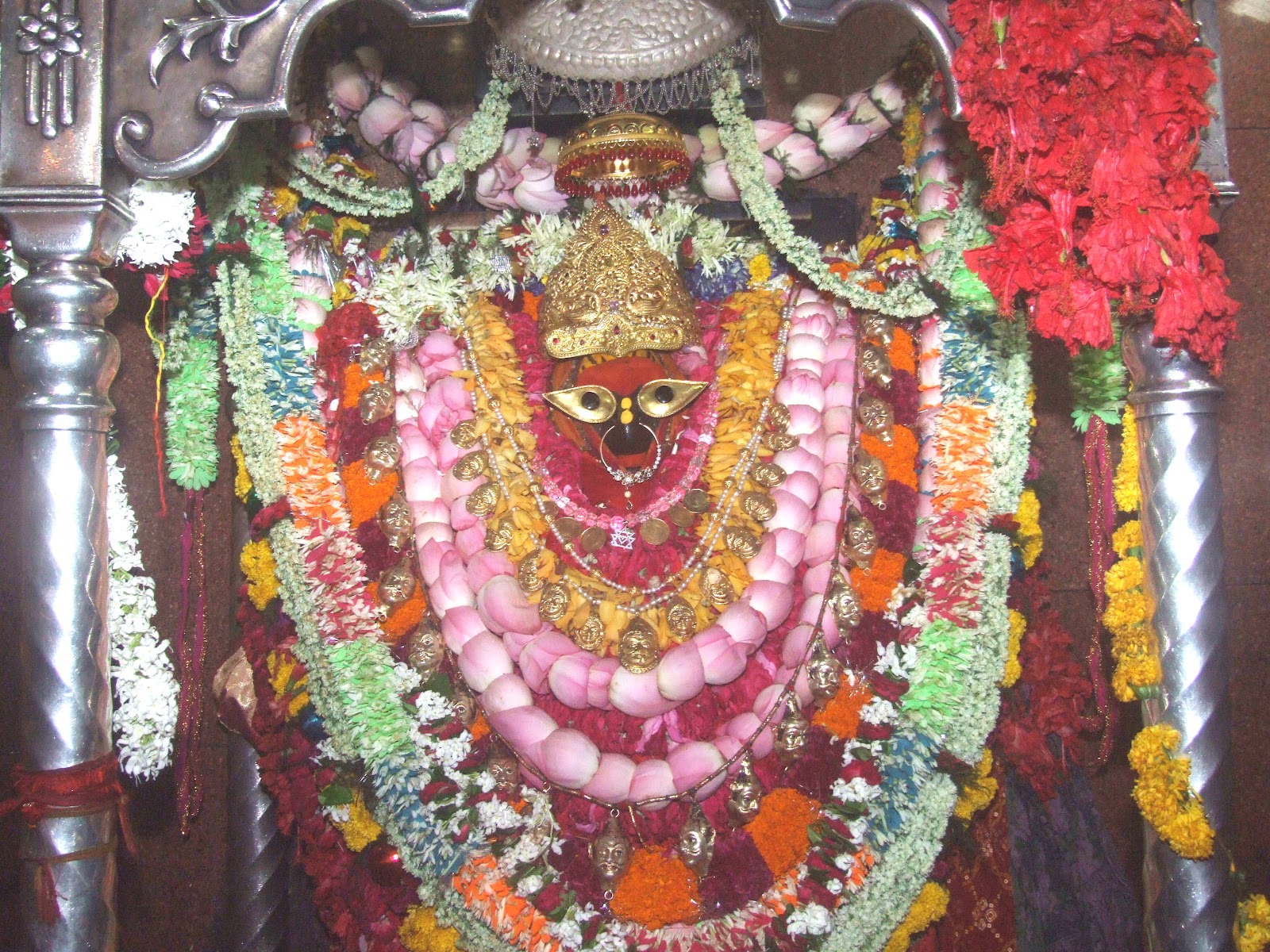 Vindhyachal - JungleKey.in Image