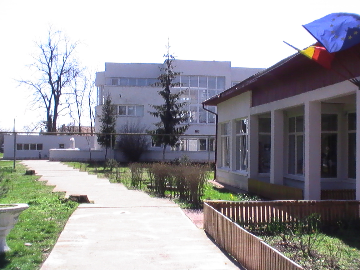 CENTRUL SCOLAR PENTRU EDUCATIE INCLUZIVA ALEXANDRU ROSCA - LUGOJ - Lugoj