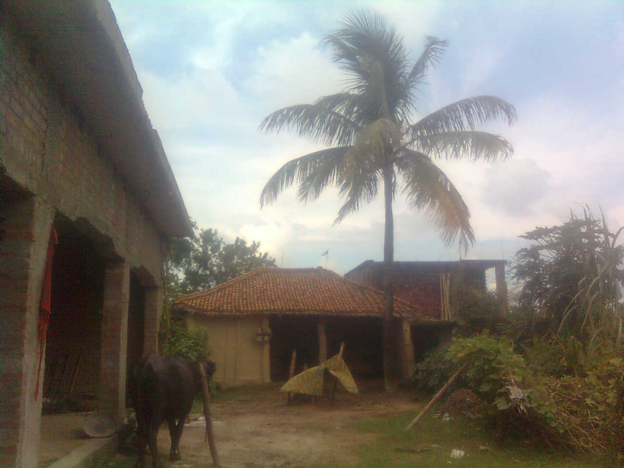 ??Raut House Mataras