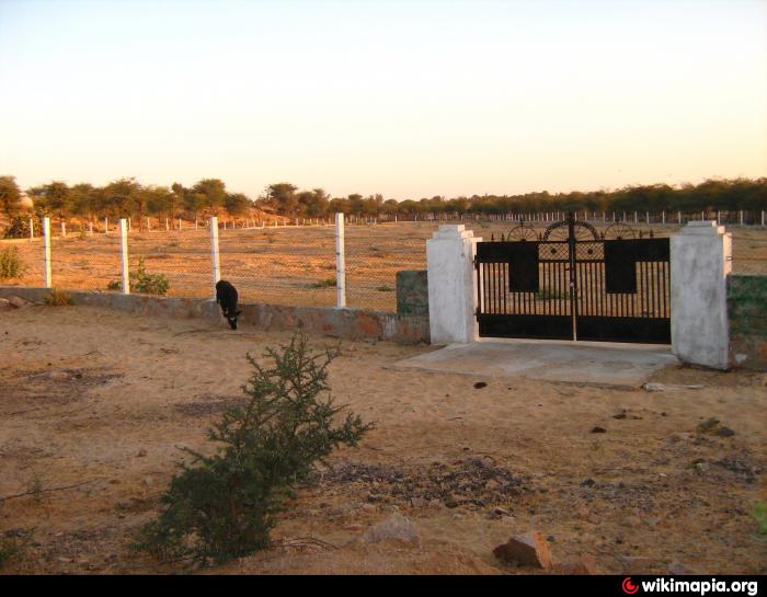 Forest in Bandi River
