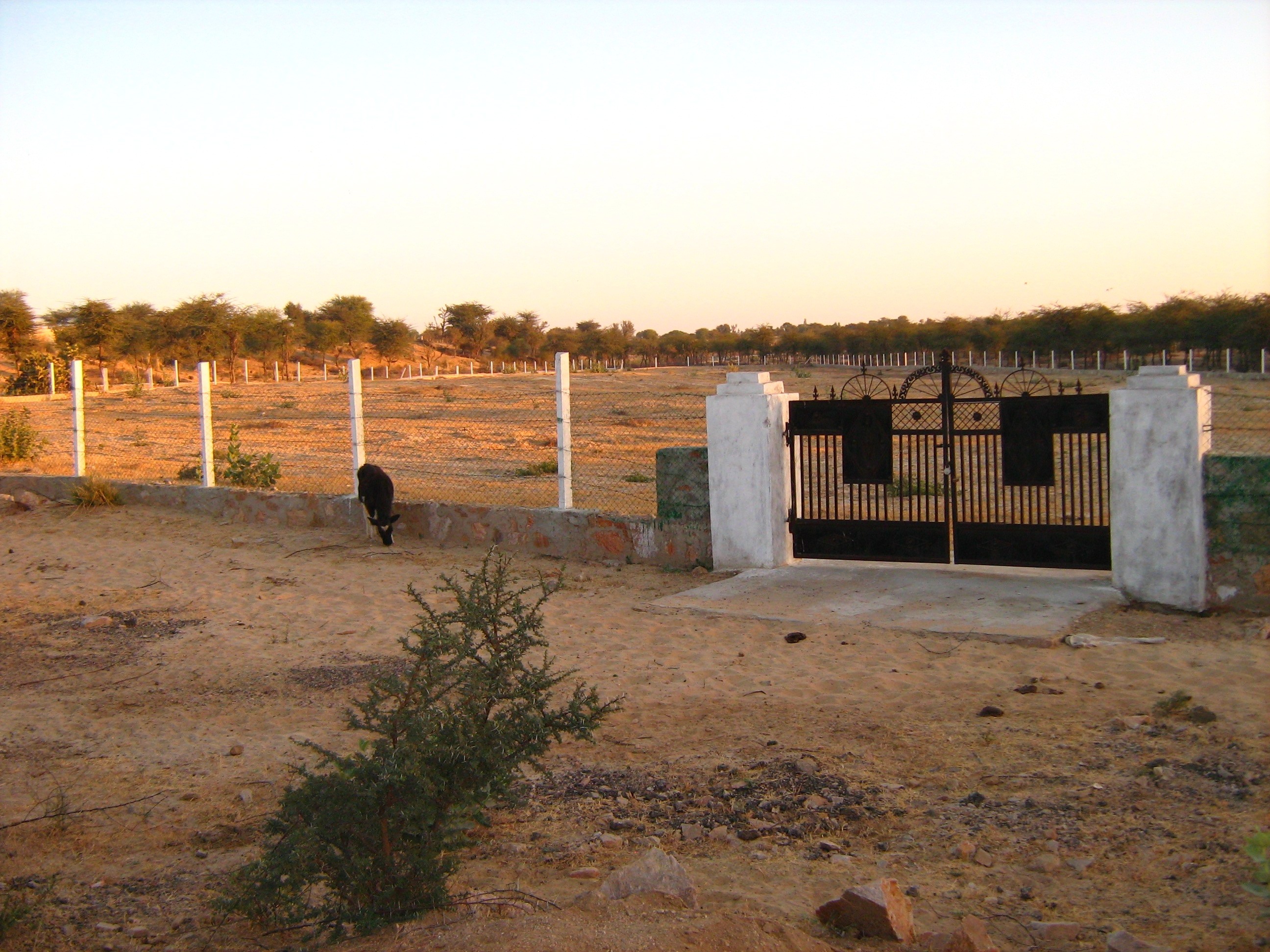 Forest in Bandi River