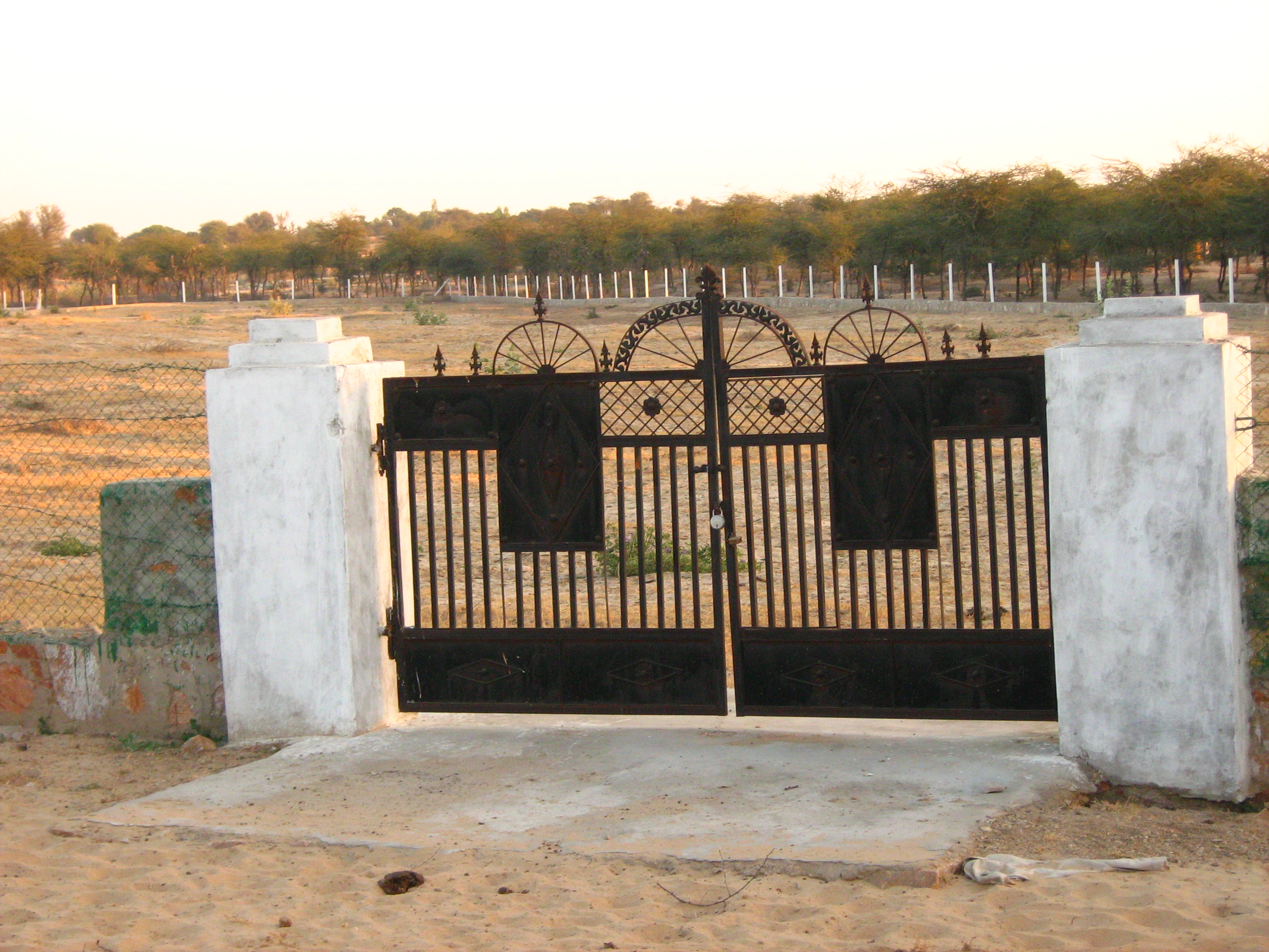 Forest in Bandi River