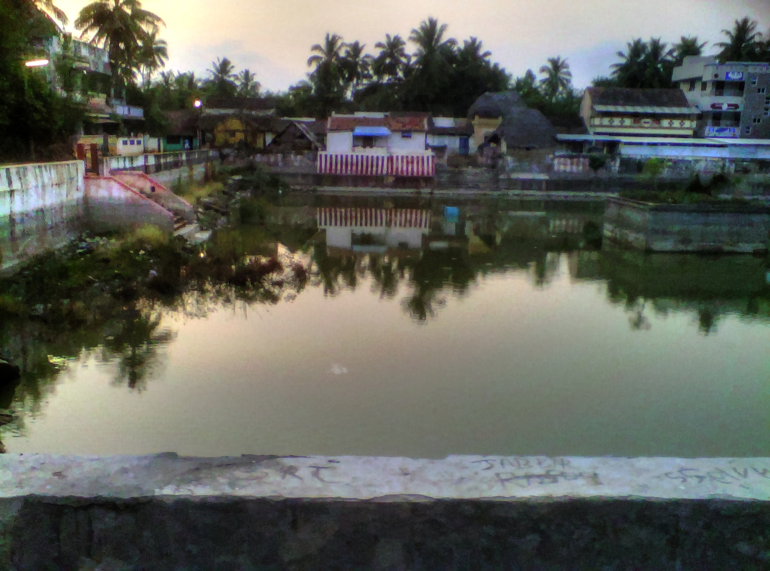 Theppa Kulam - Needamangalam | pond
