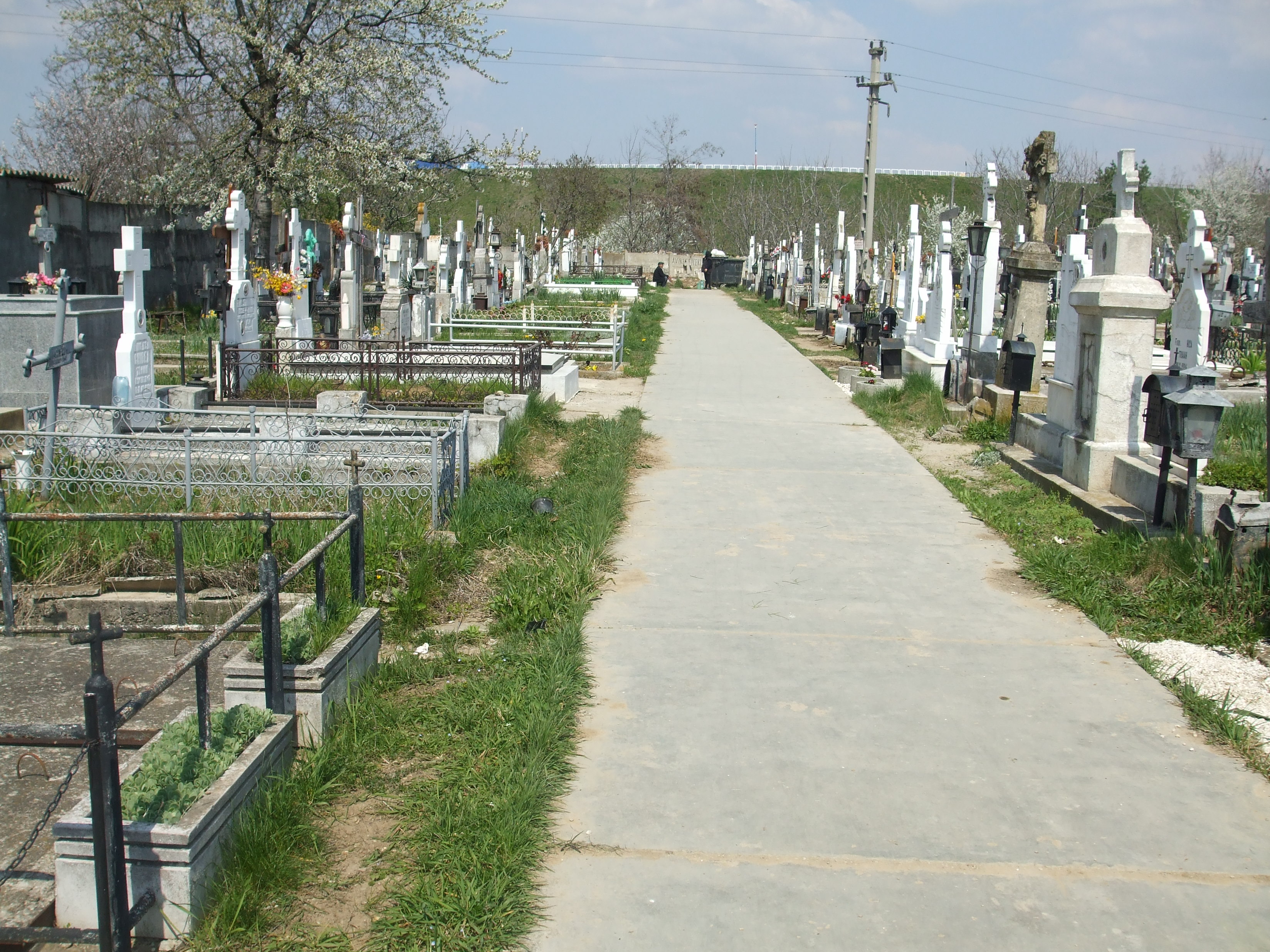 Cimitirul central - Pucioasa