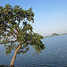 Waddepally Lake - Warangal