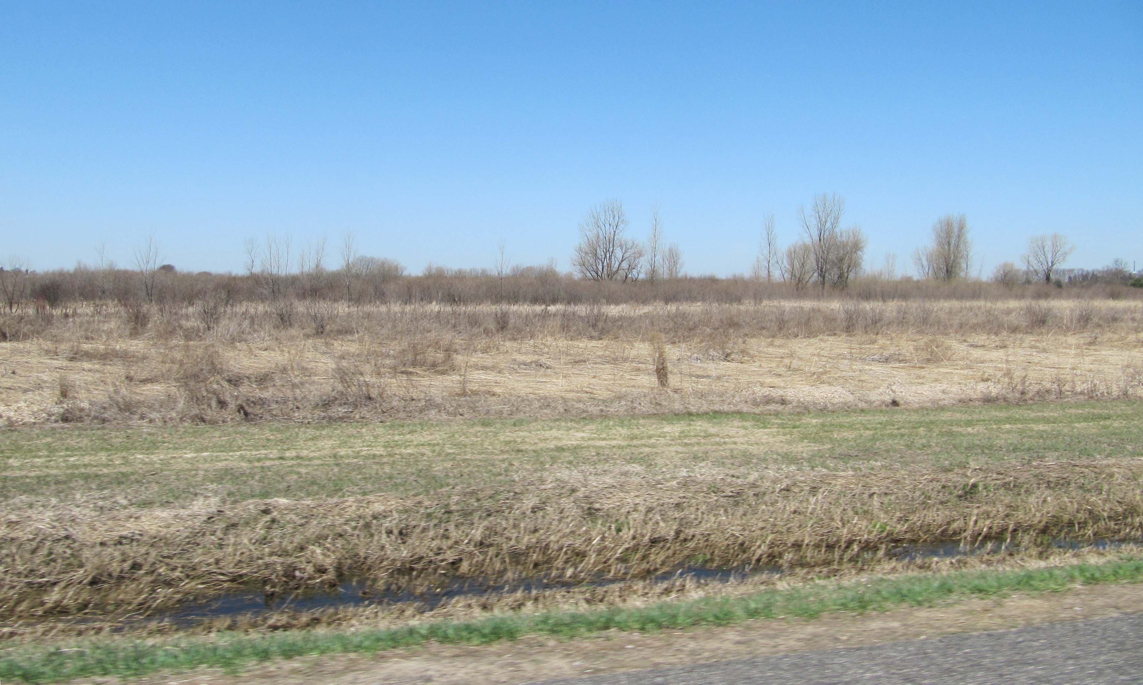 Big Slough Wetland Project | park, nature conservation park / area