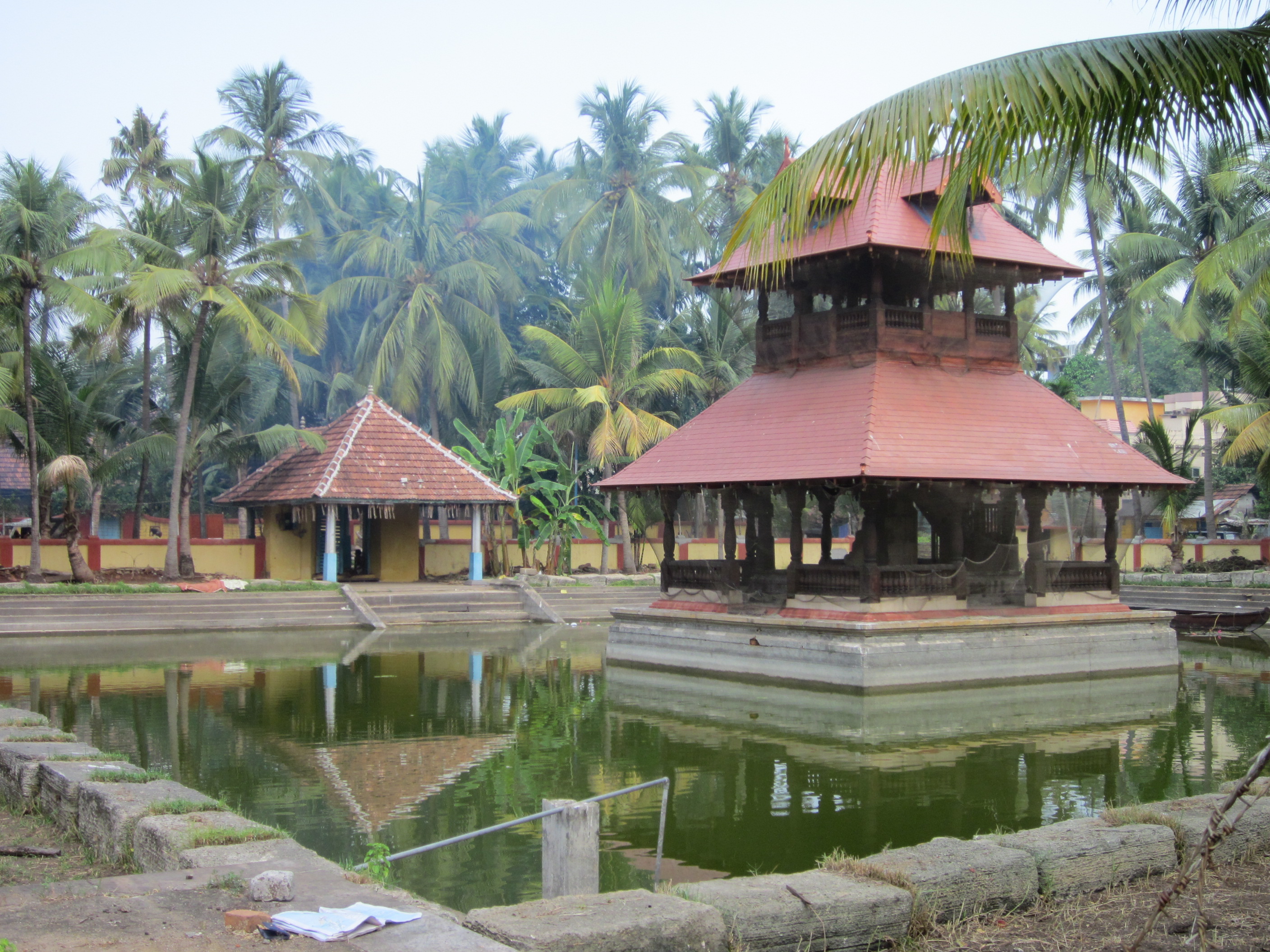CTD Temple Pond - Kochi