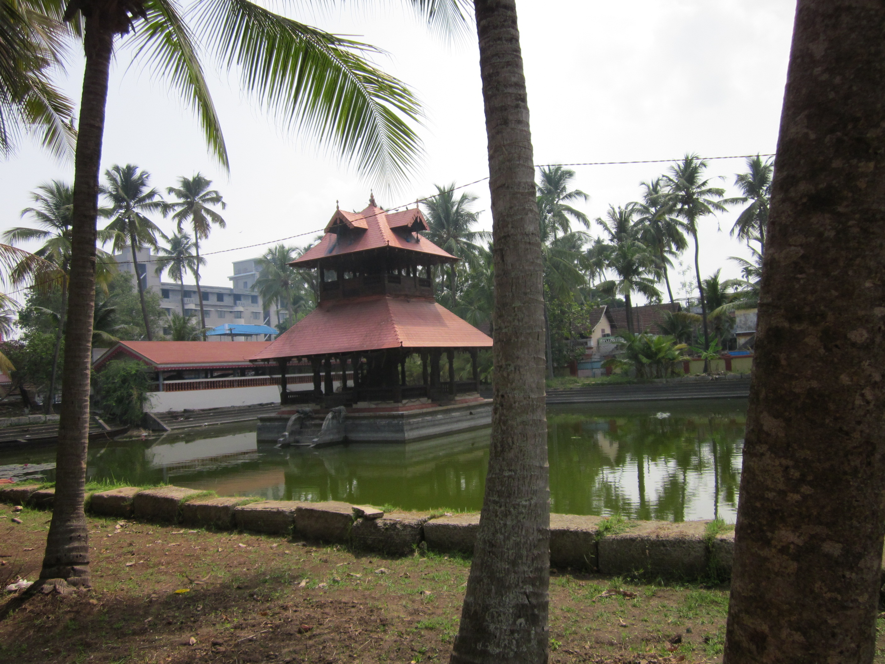 CTD Temple Pond - Kochi