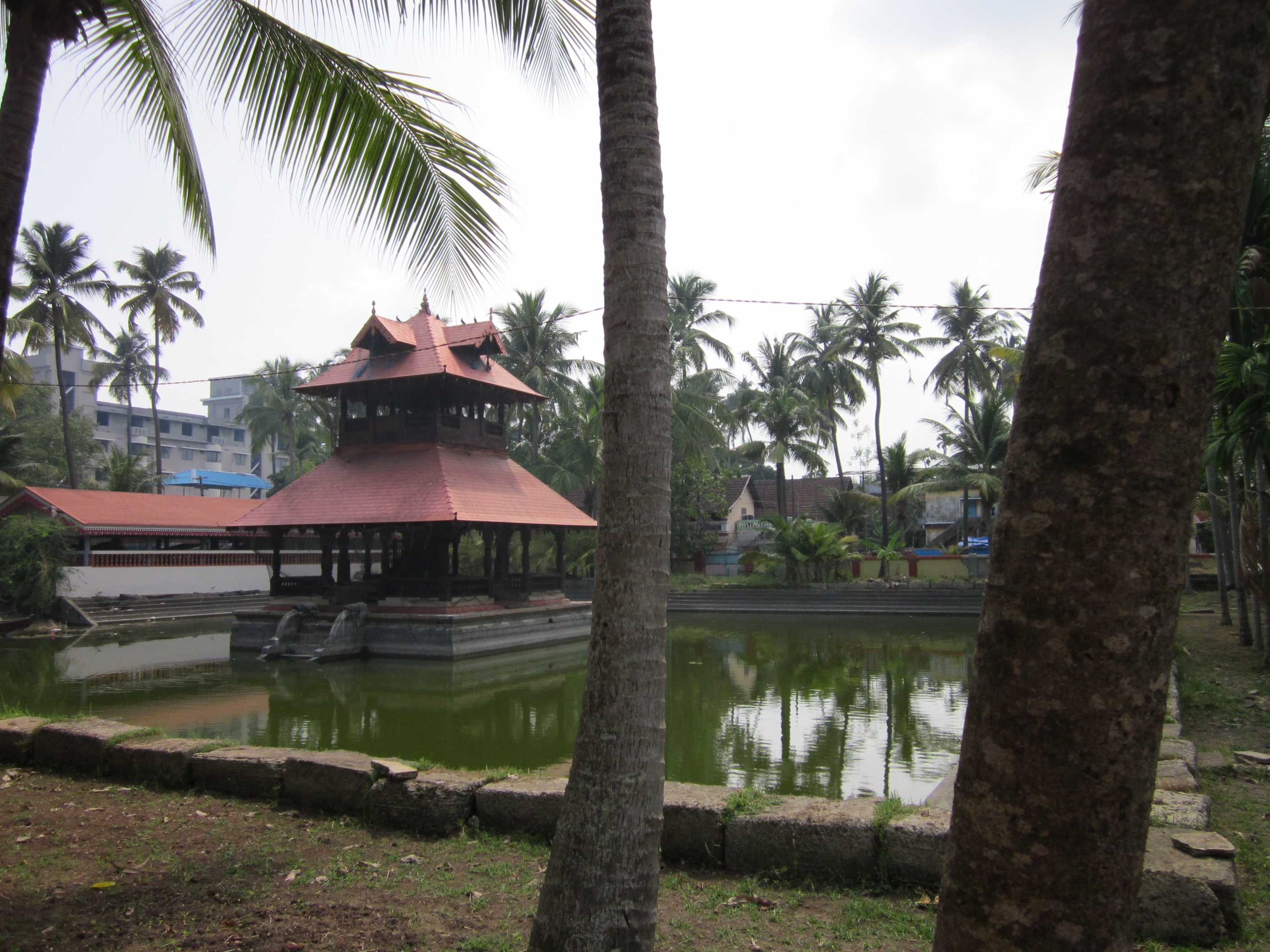 CTD Temple Pond - Kochi