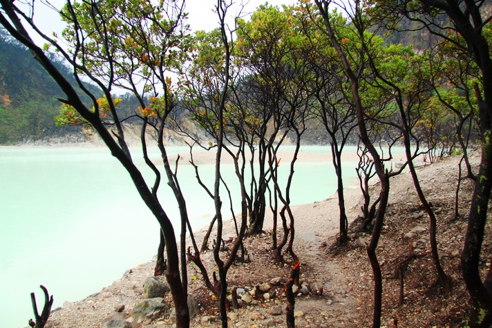 Patuha Volcano, 2424 m or Kawah Putih (White Volcano)