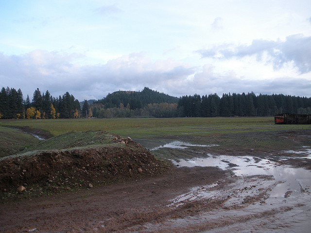 Roslyn Lake