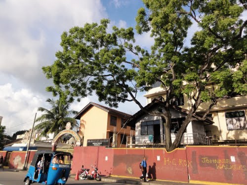 Ramanathan Ladies College - Colombo