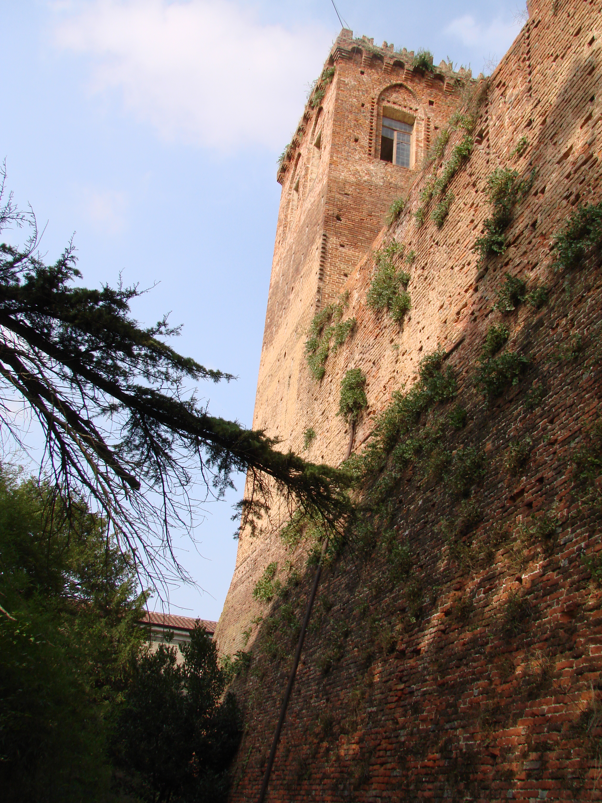 Castello superiore - Arignano