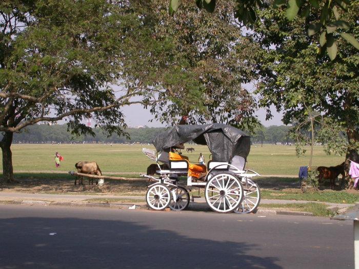Kolkata Metropolitan Area - Makhla