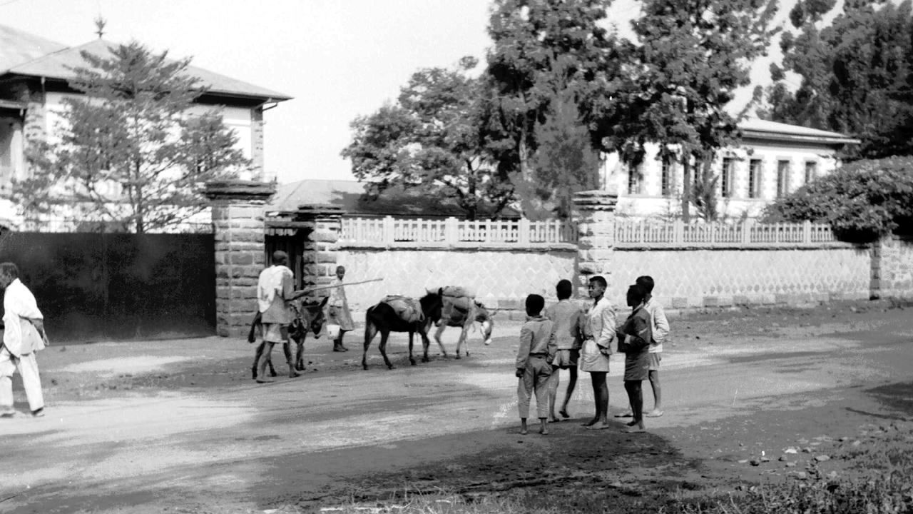 Yekatit 12 Preparatory School - Addis Ababa