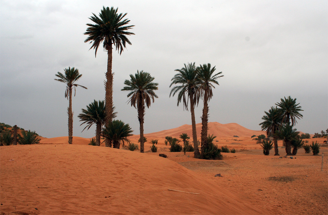 Erg Chebbi