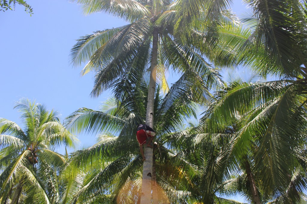 Kabo (Kabusgan) Island