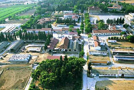 American Farm School, Perrotis College - Thessaloniki