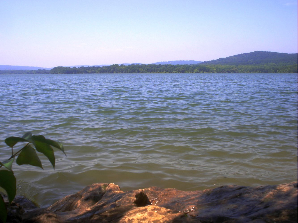 Spruce Run campground
