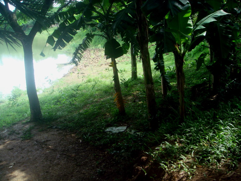 Amtali Beel, Sapila
