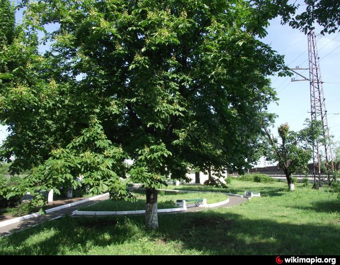 Hrodivka Railway Station - Novohrodivka