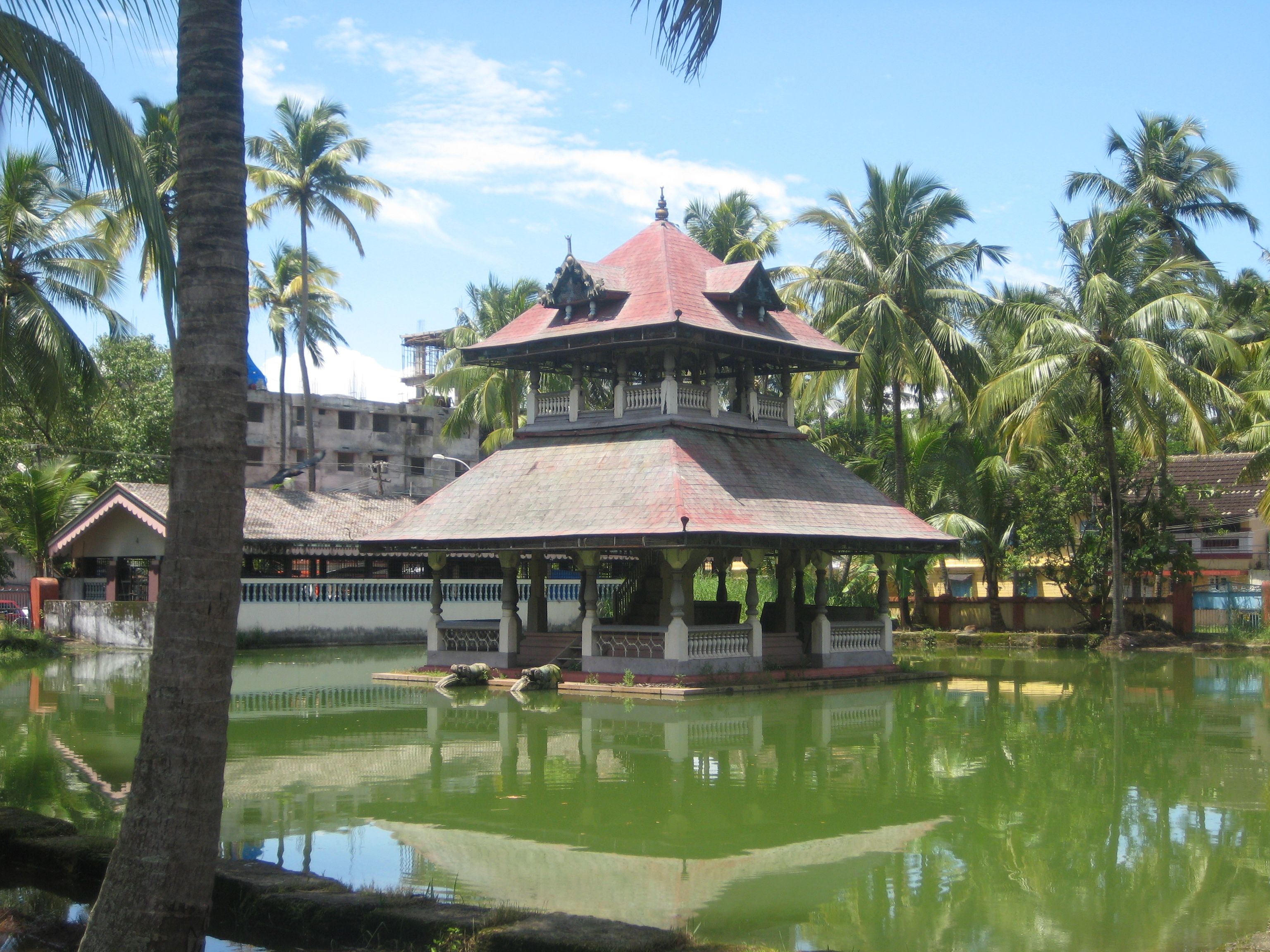CTD Temple Pond - Kochi