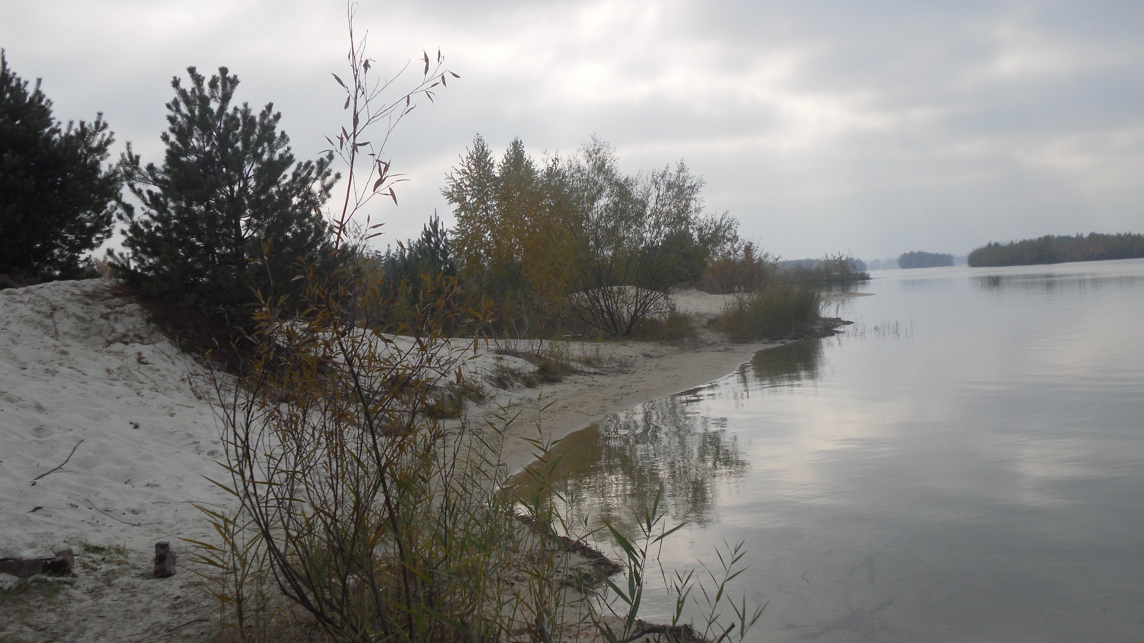 Plaża naturystyczna Pogoria IV - Dąbrowa Górnicza | plaża nudystów