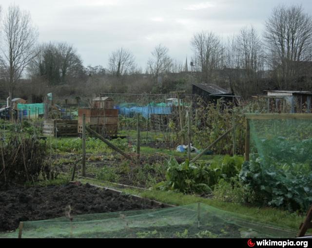 Welshmill Allotments - Frome | allotment (gardening)