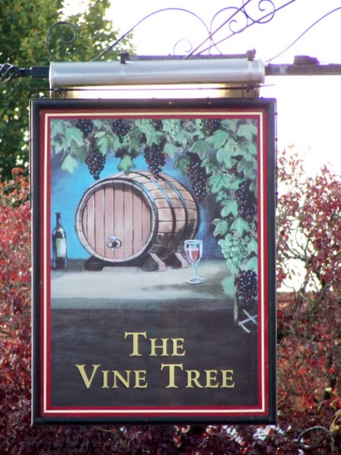 The Vine Tree - Frome