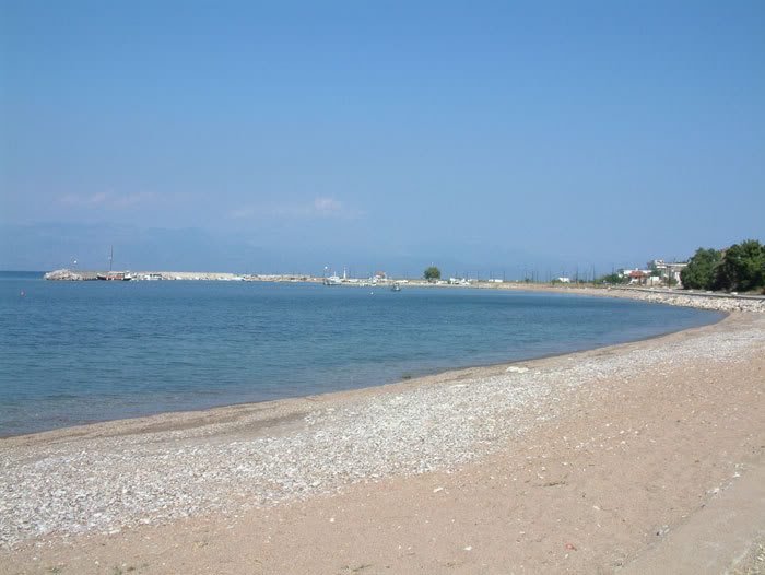 Πεταλίδι Μεσσηνίας