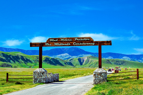 Wind Wolves Preserve