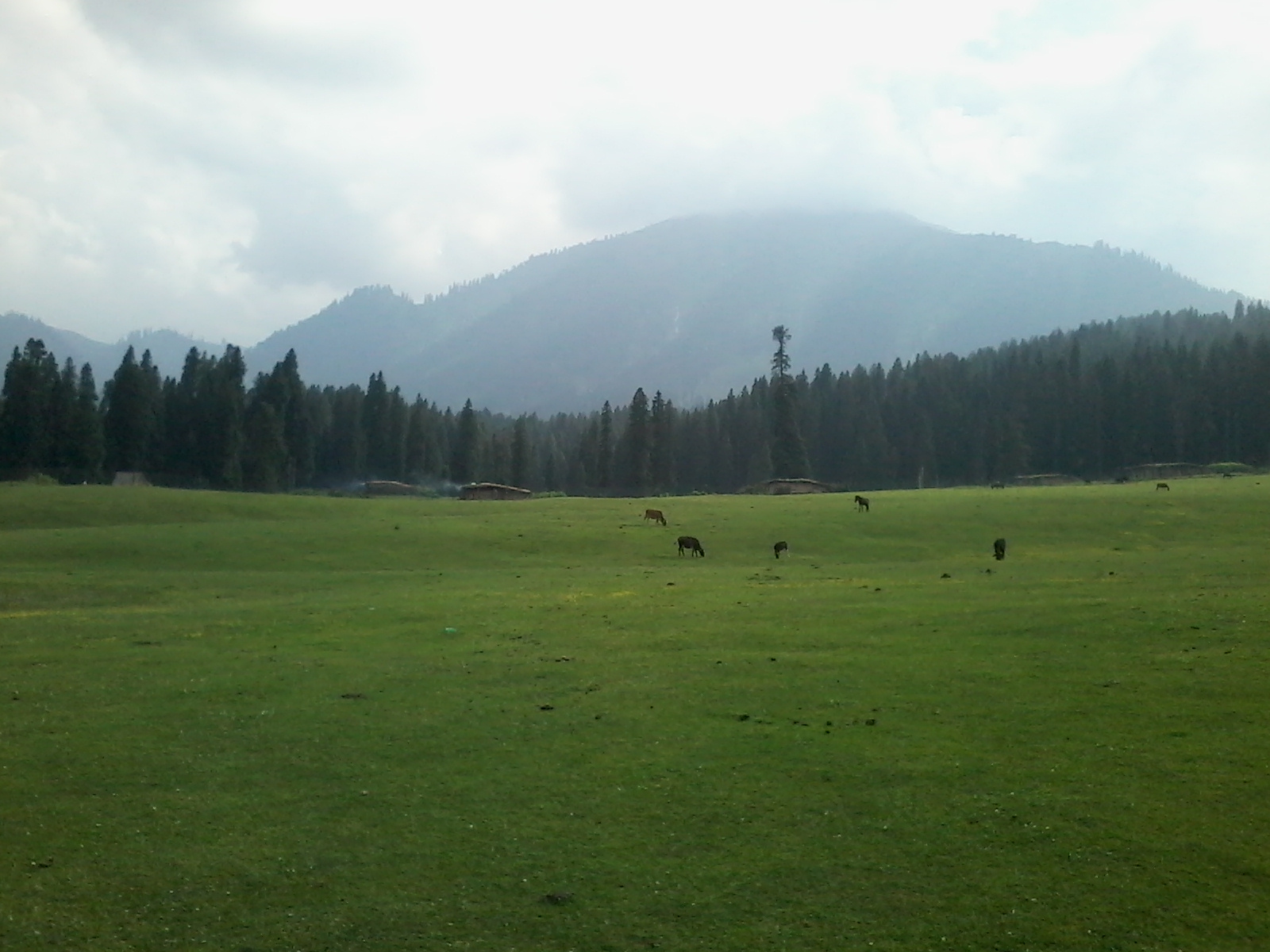 Dodh Pather,8500-9000 Ft