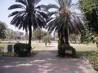 D Ground. - Faisalabad/Lyallpur