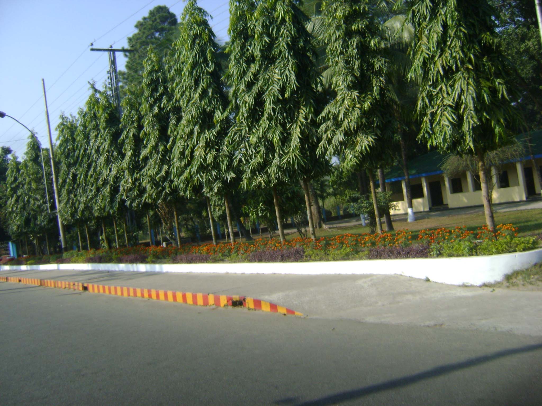 Computer Training Center - Rangpur Cantonment - Rangpur